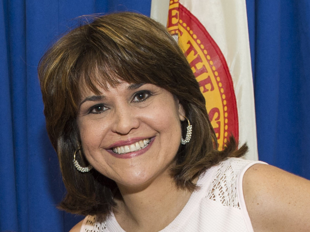 Big Florida Flip: DSPolitical Helps Turn Sunshine State Senate Seat ...